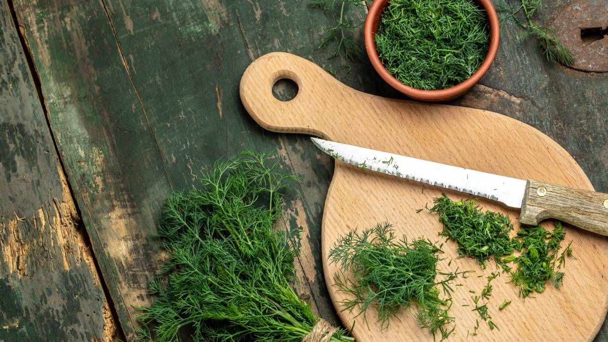 Nem kell fagyasztani - így tedd el a kaprot! | Mindmegette.hu