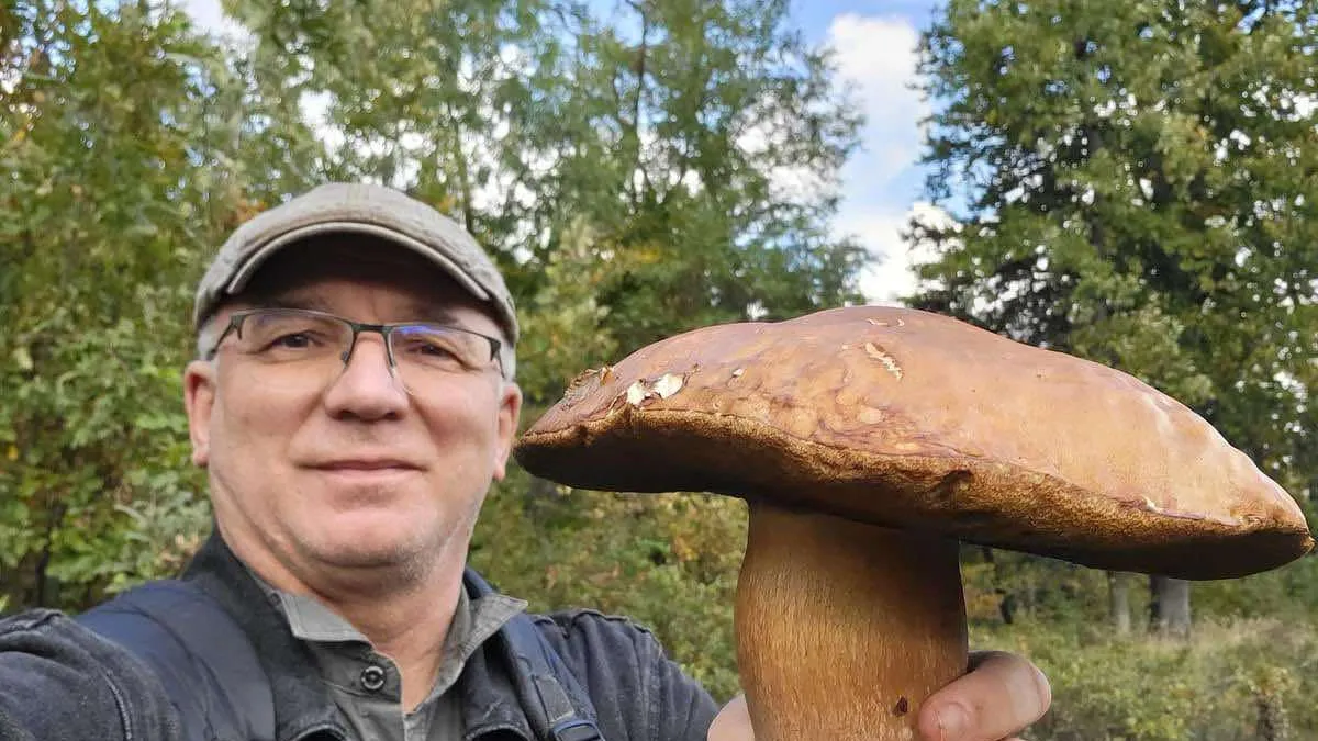 Hatalmas gombát talált a pannonhalmi főapát | Mindmegette.hu